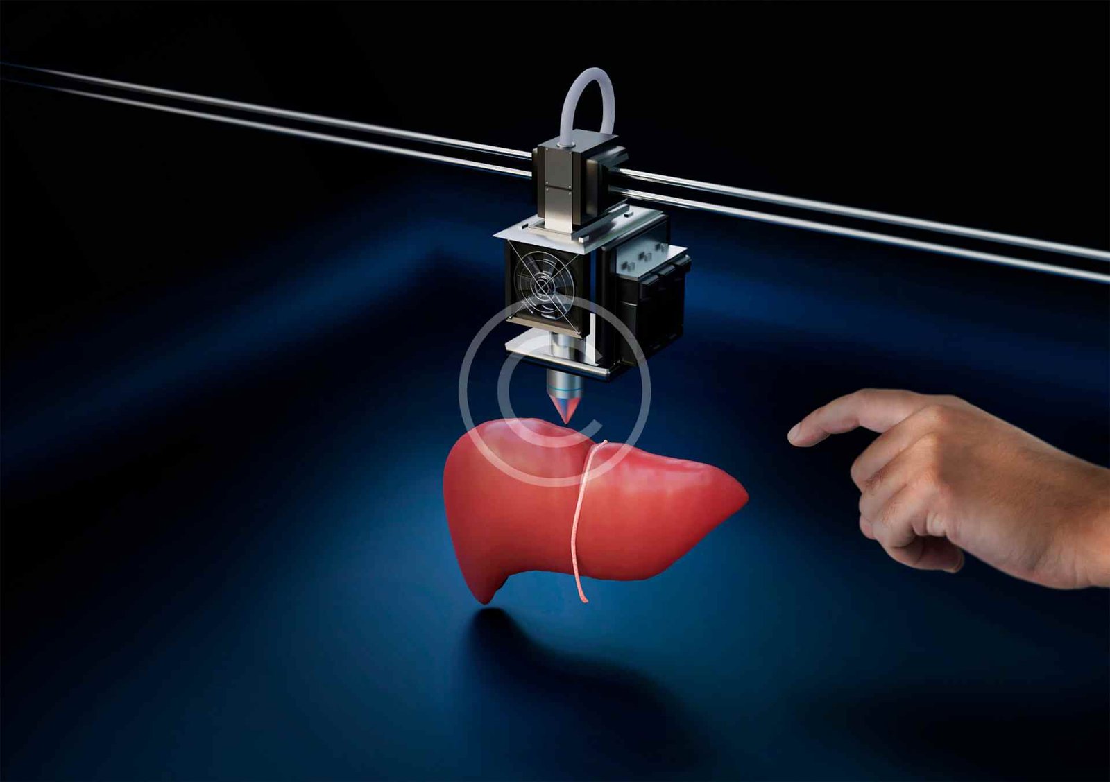 Artificial organs - 3D Factory Lb | 3D Printing Services & Shop ...